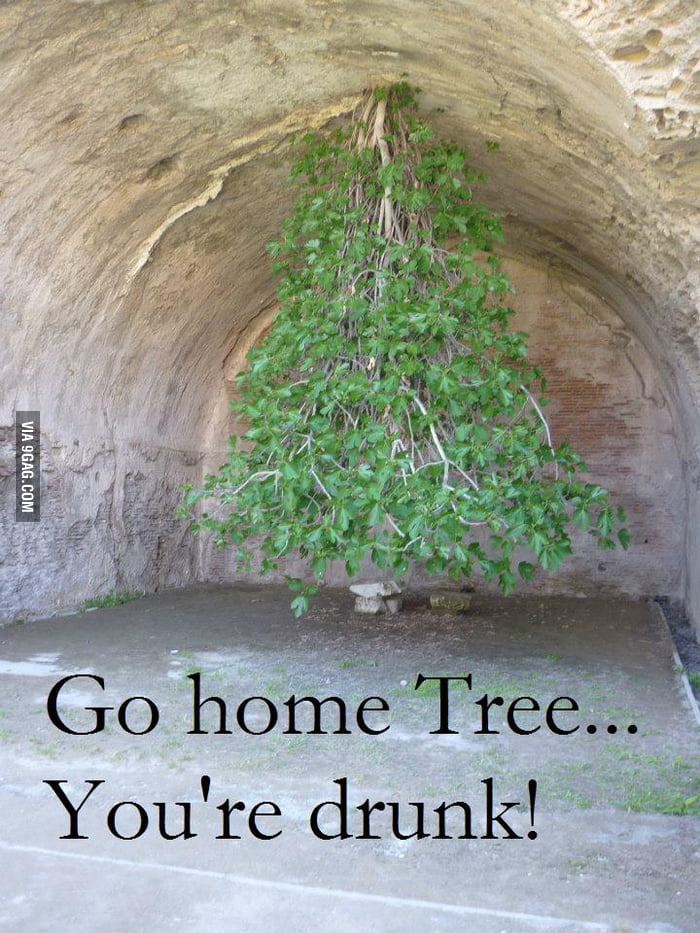 Forgot how to tree - 9GAG