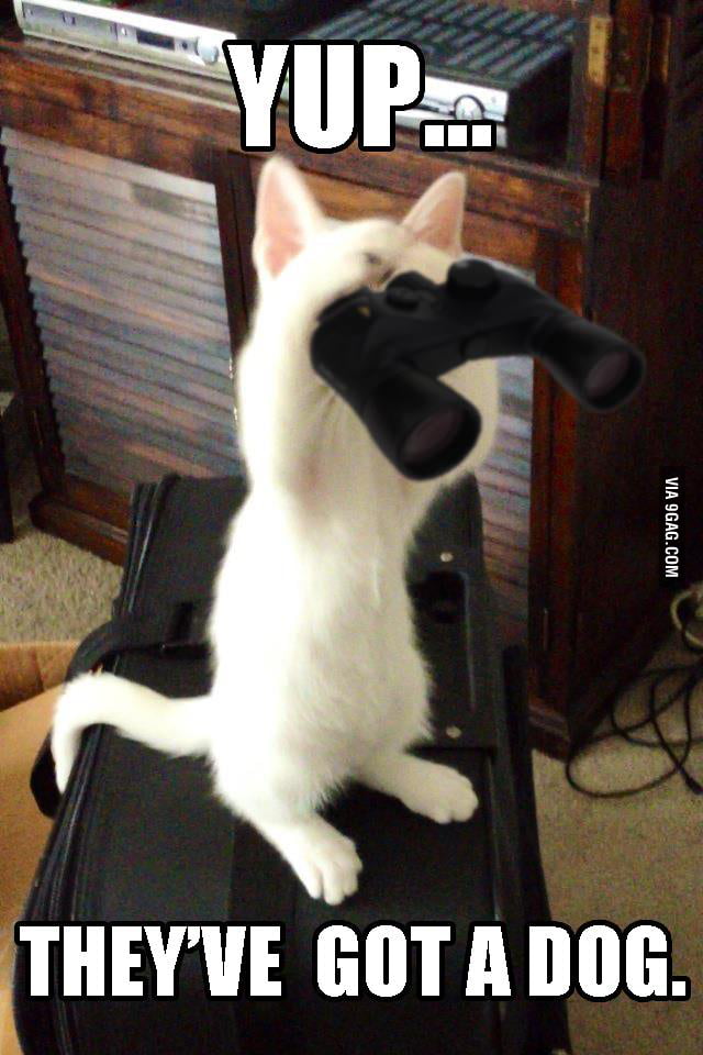 Already packed, ready to leave.. - 9GAG