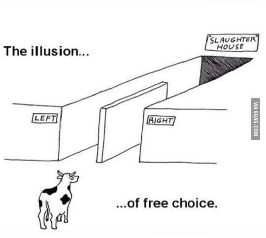 Choices, choices everywhere - 9GAG