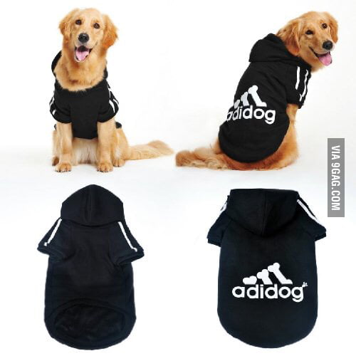 For Slav Dogs - 9GAG
