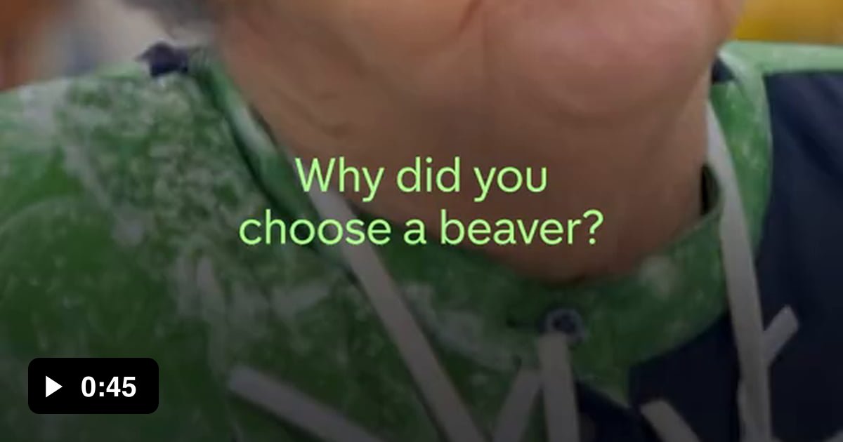 I heard you like beaver - 9GAG