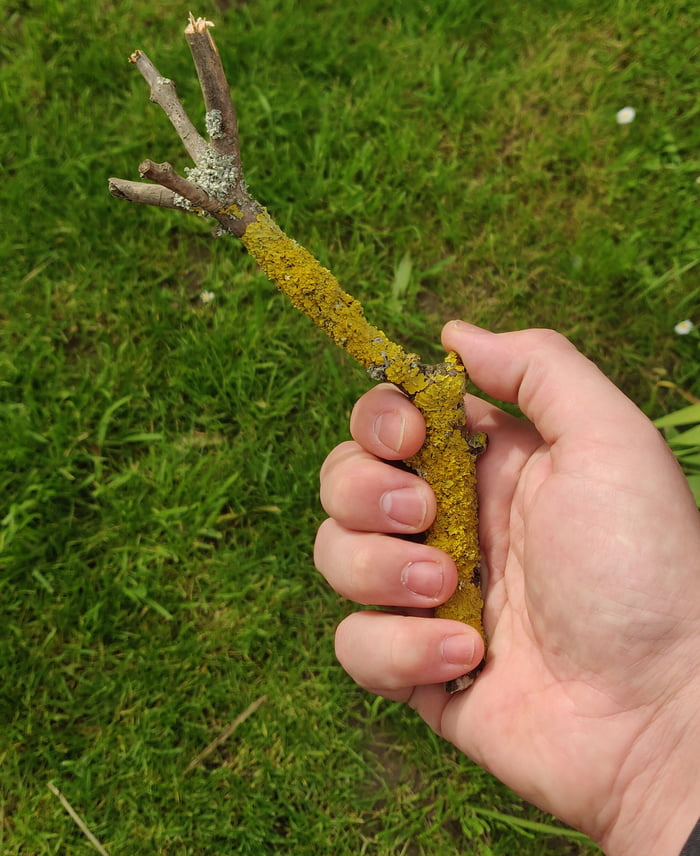 Quadra stick or Predastick? - 9GAG