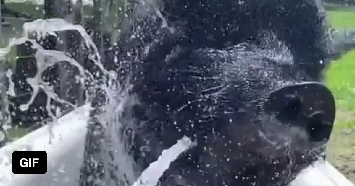 Time for a bath - 9GAG