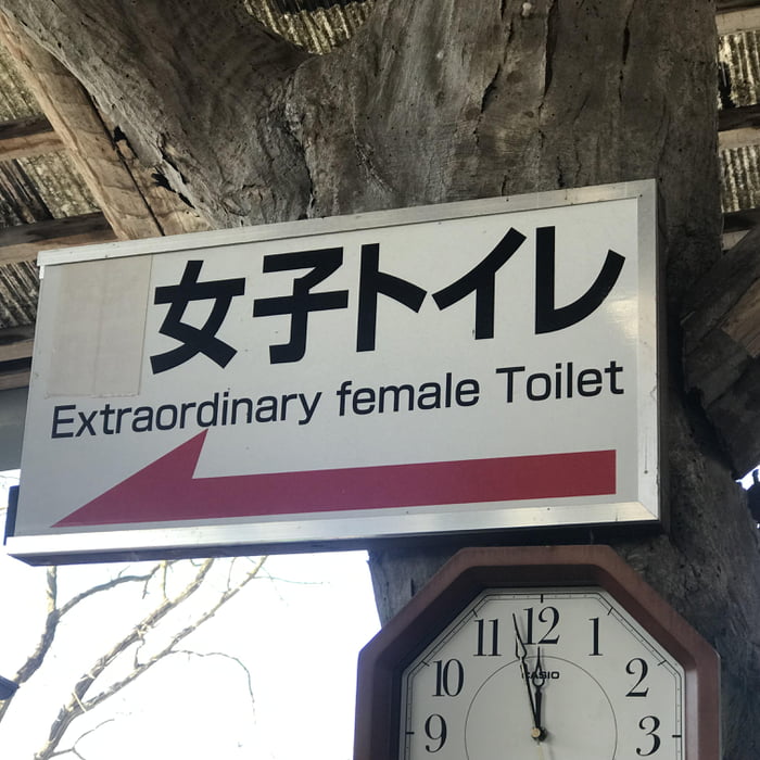 Extraordinary female toilet - 9GAG