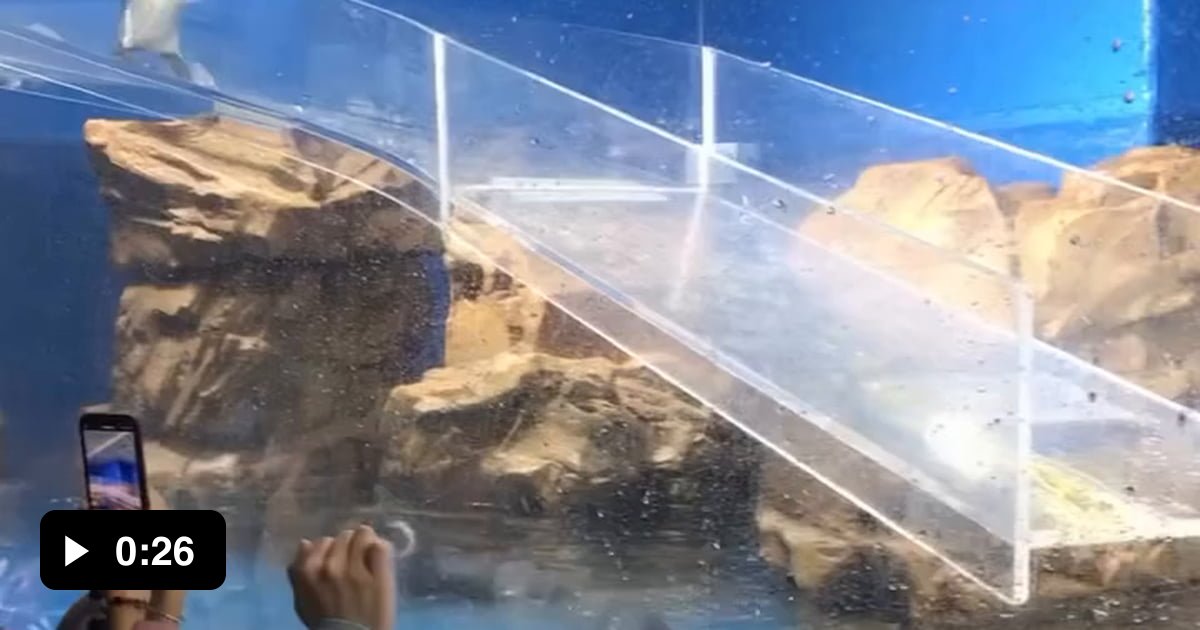 Poor dude's worst nightmare - 9GAG