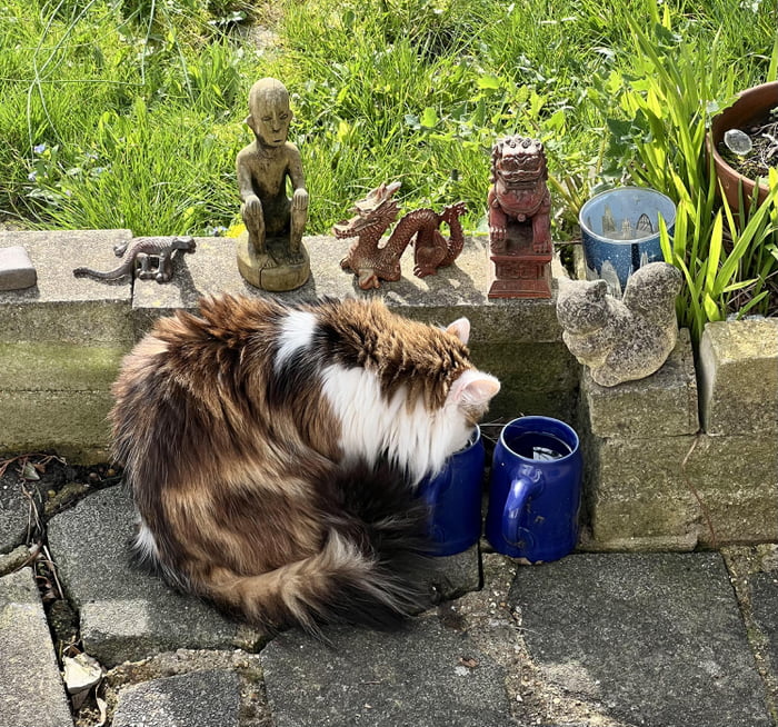 Taste tester for the Munich beer festival: Schrödinger - 9GAG