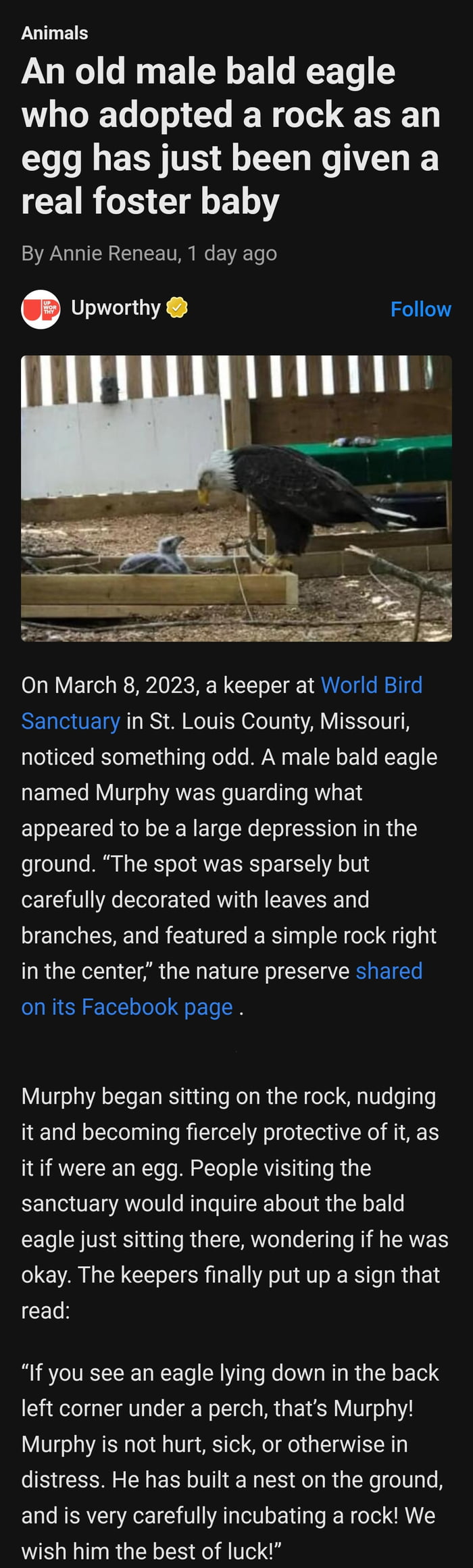 Animals are cool - 9GAG