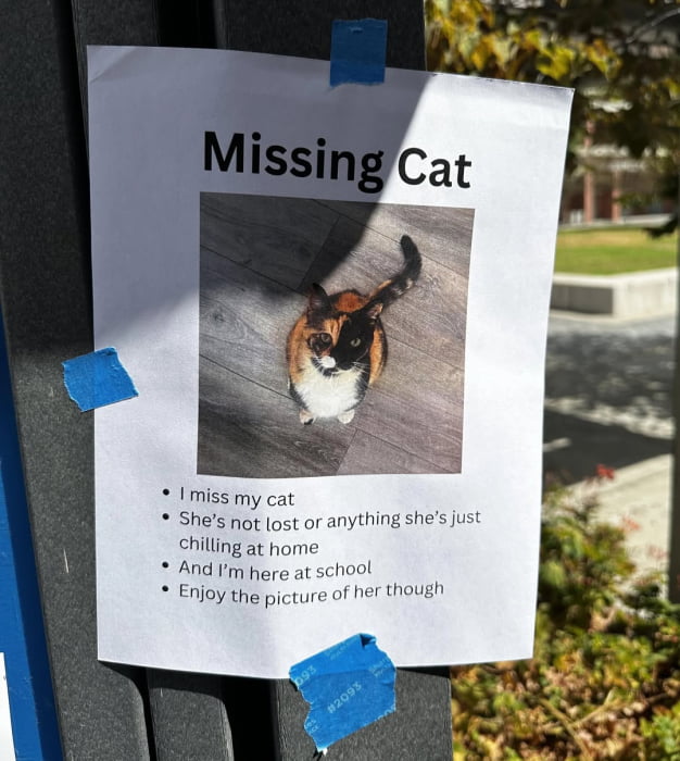 Missing cat... - 9GAG