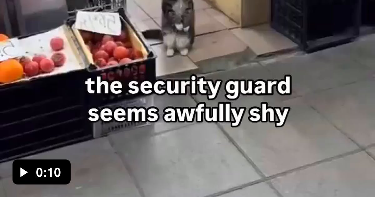 Kitty Security - 9GAG
