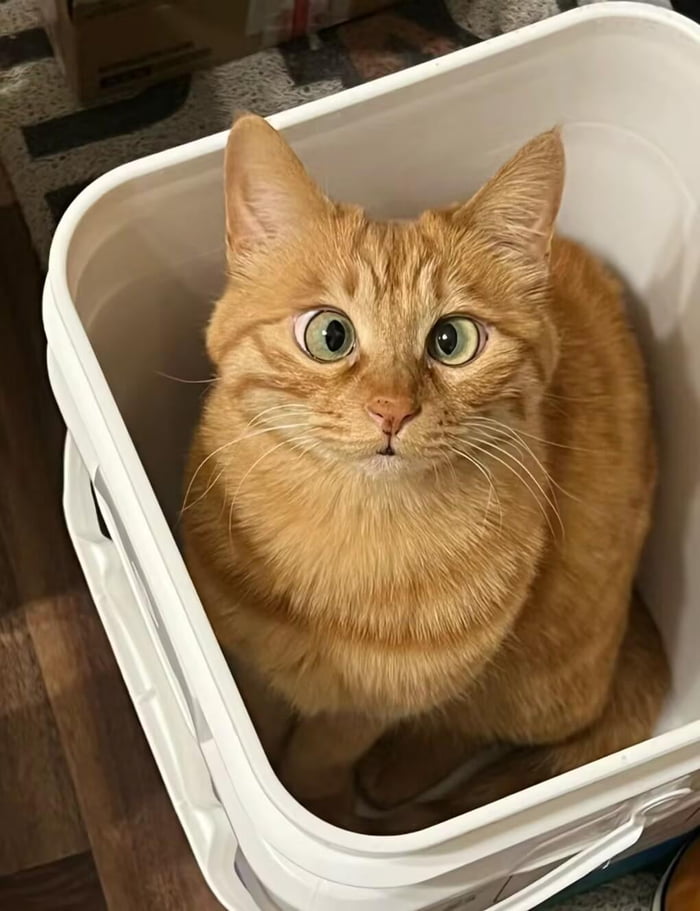 Look at what overthinking has done - 9GAG