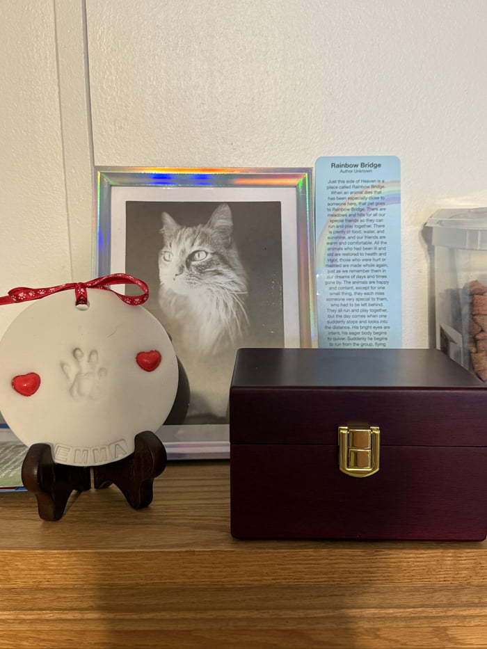 My Emma has returned home. - 9GAG