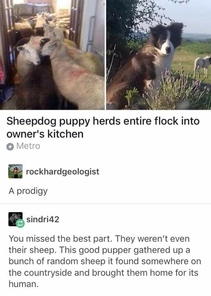 Memes from the archives to fight the bots 6 - 9GAG