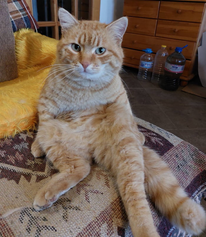 Happy Friday, fellow 9gaggers! - 9GAG