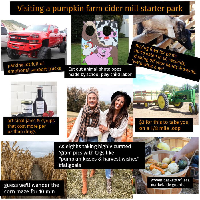 Visiting a pumpkin farm cider mill starter pack - 9GAG