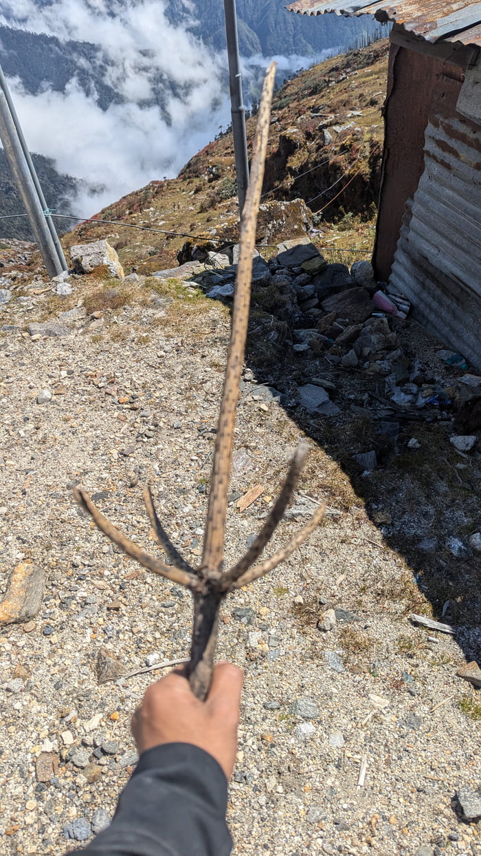 Rate my stick - 9GAG