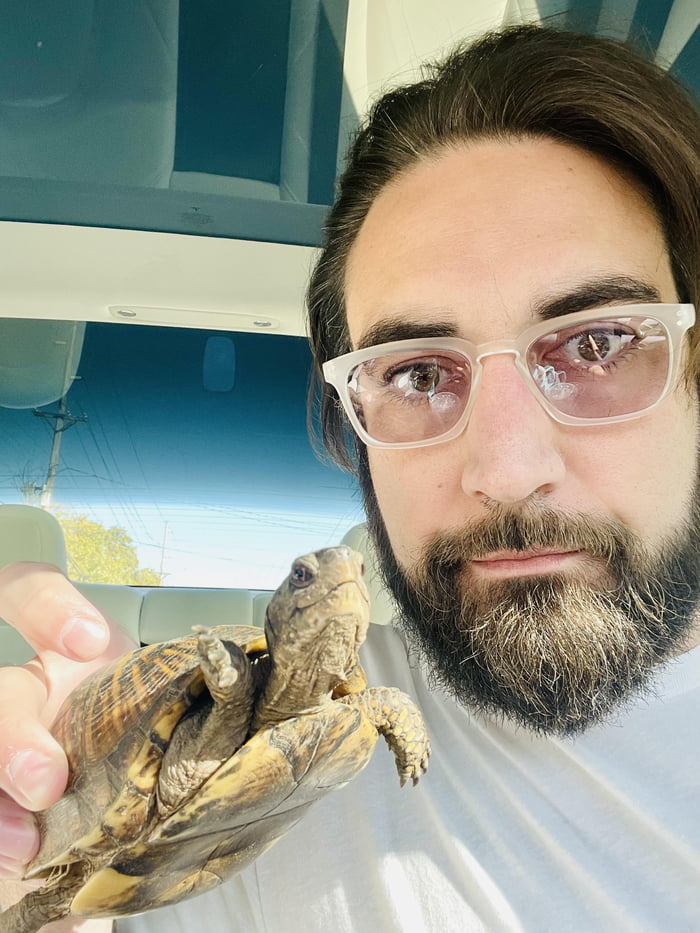 Saved this turtle from a busy road and he was grateful judging by his ...