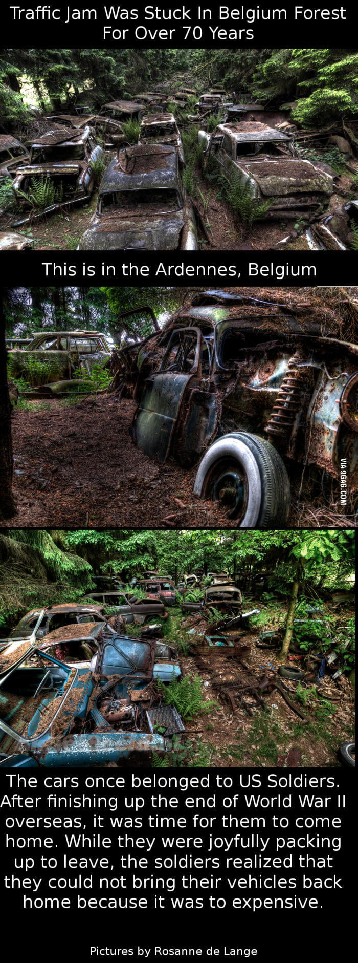 What Happens To Your Car After Youre Gone The Unexpected Fate Of Beloved Vehicles