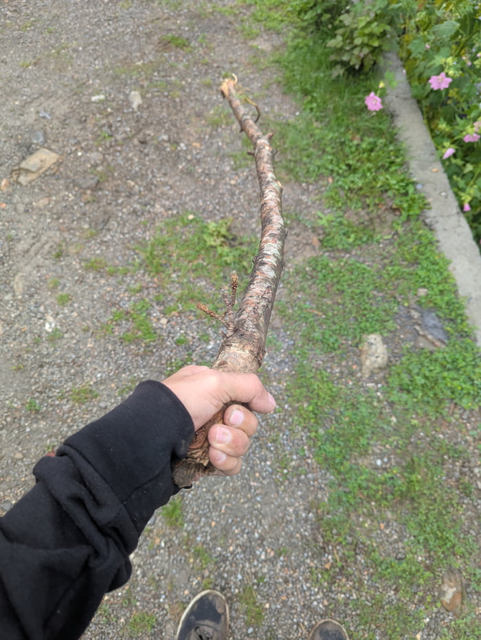 Not special just a useful stick. - 9GAG