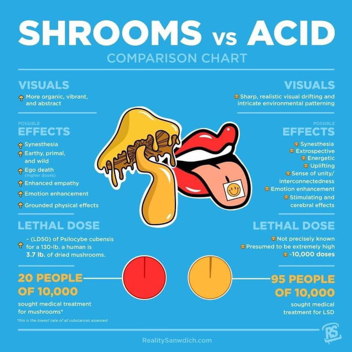 A Cool Guide Key Differences Shrooms Vs Acid 9gag