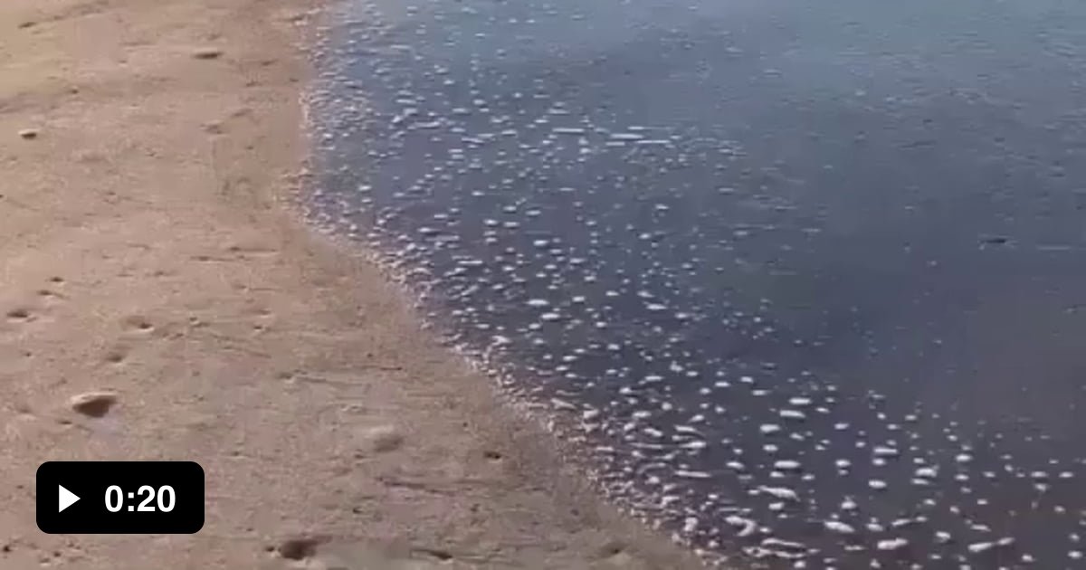 Same buddy, same... - 9GAG