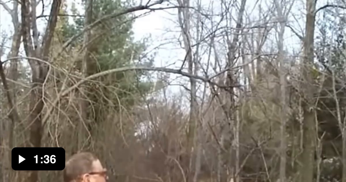 Wasp Nest Versus M80 Firecracker - 9GAG