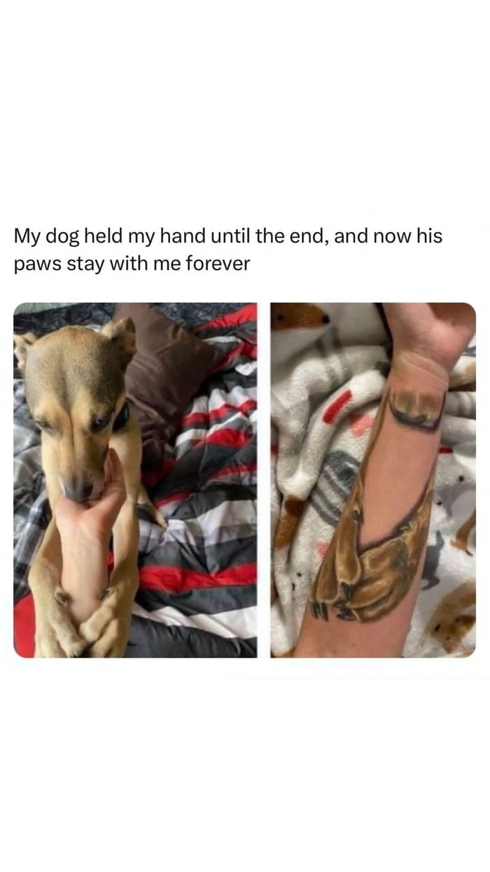 Solid Realism, looks Awful - 9GAG