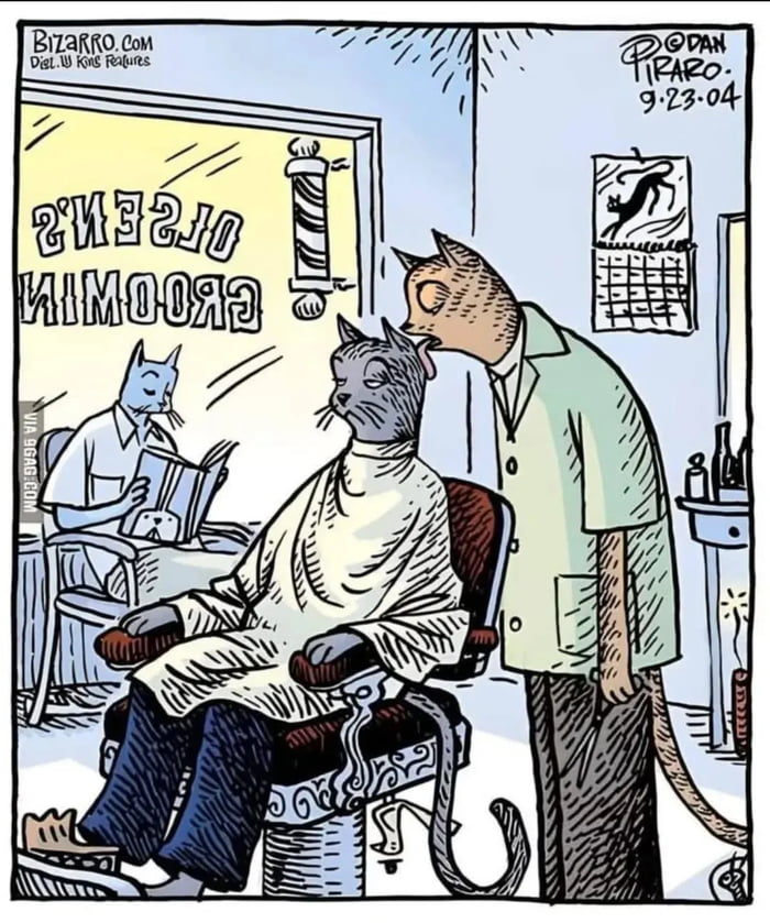 And fragile objects are only worth something when on the floor, broken - 9GAG