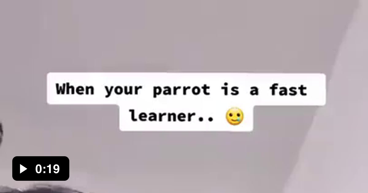Fast learner - 9GAG