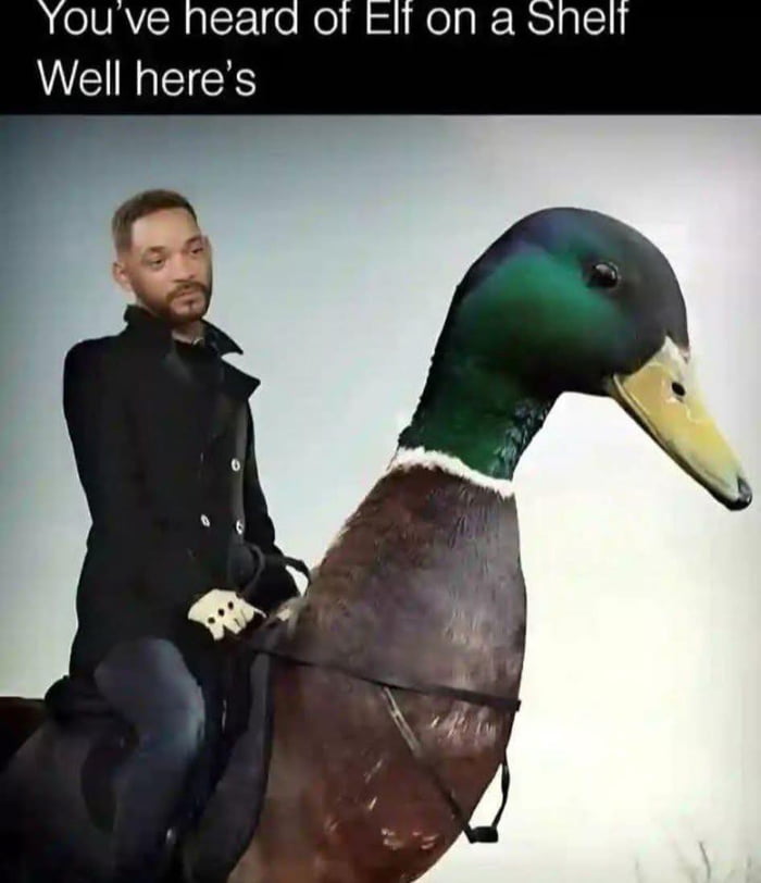 Will Smith riding a mallard, you heard it here first - 9GAG