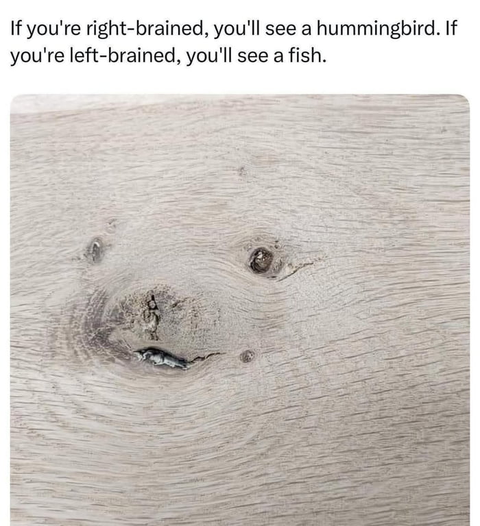 Still cant see the hummingbird - 9GAG