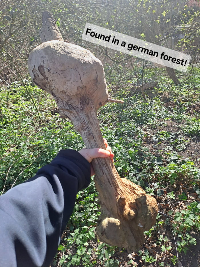 Can't believe my first post on 9gag is a stick but here we are! F**k you and I'll see you ...