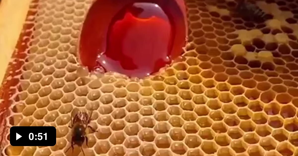 Sweetly satisfying - 9GAG