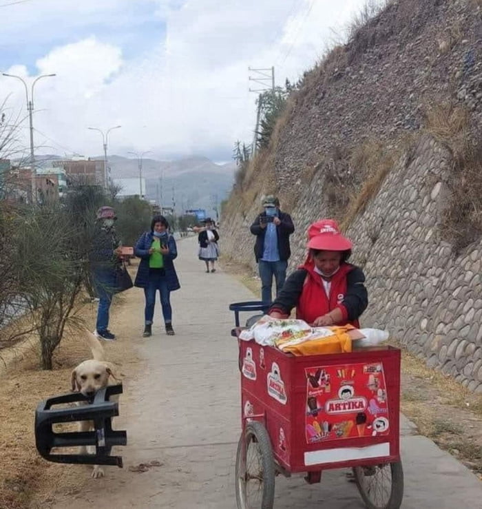 Mejor ese perro tiene chamba que tú... - 9GAG