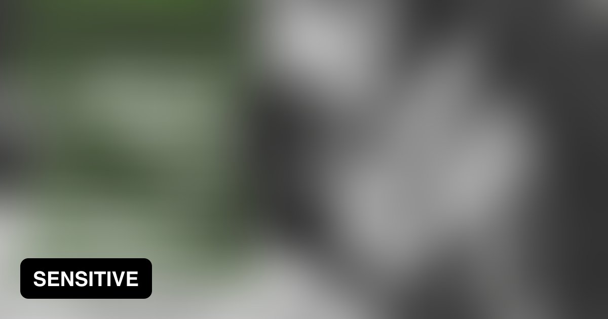 Insert Elon meme - 9GAG