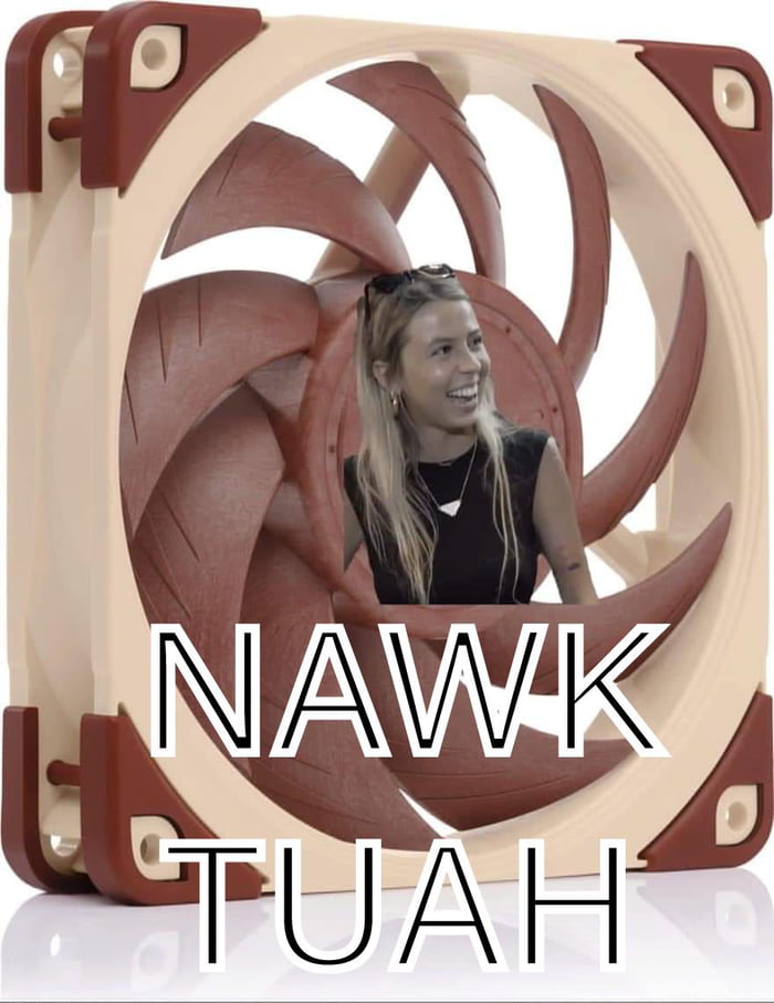 Give it the ol' Nawk Tuah - 9GAG