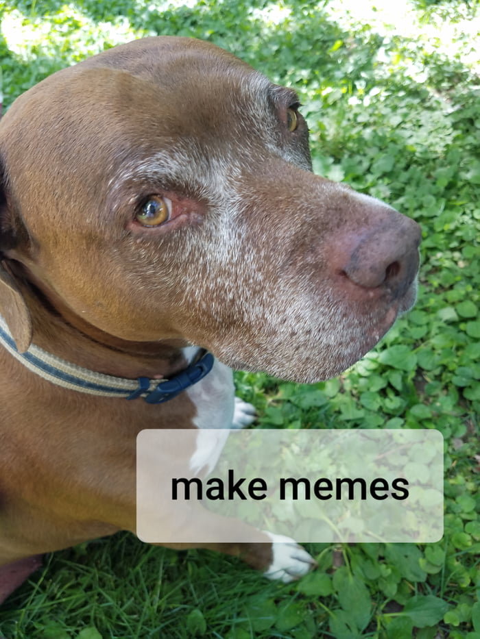 I just saw 4 sponsored posts in a row on fresh send help - 9GAG