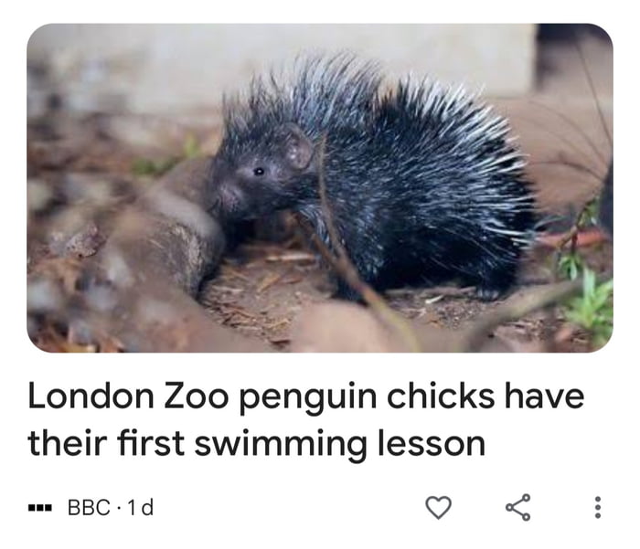 Disguise - 100 - 9GAG