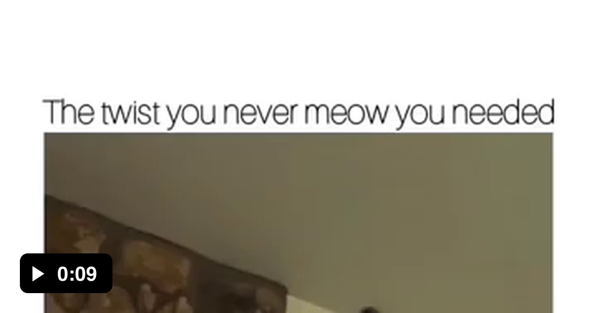 The twist you never meow you needed - 9GAG
