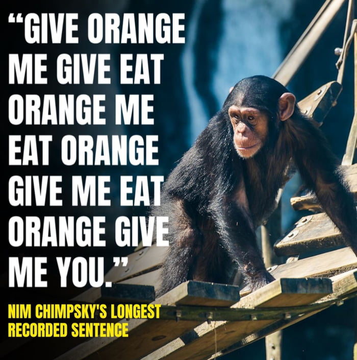 Give Him An Orange 9gag