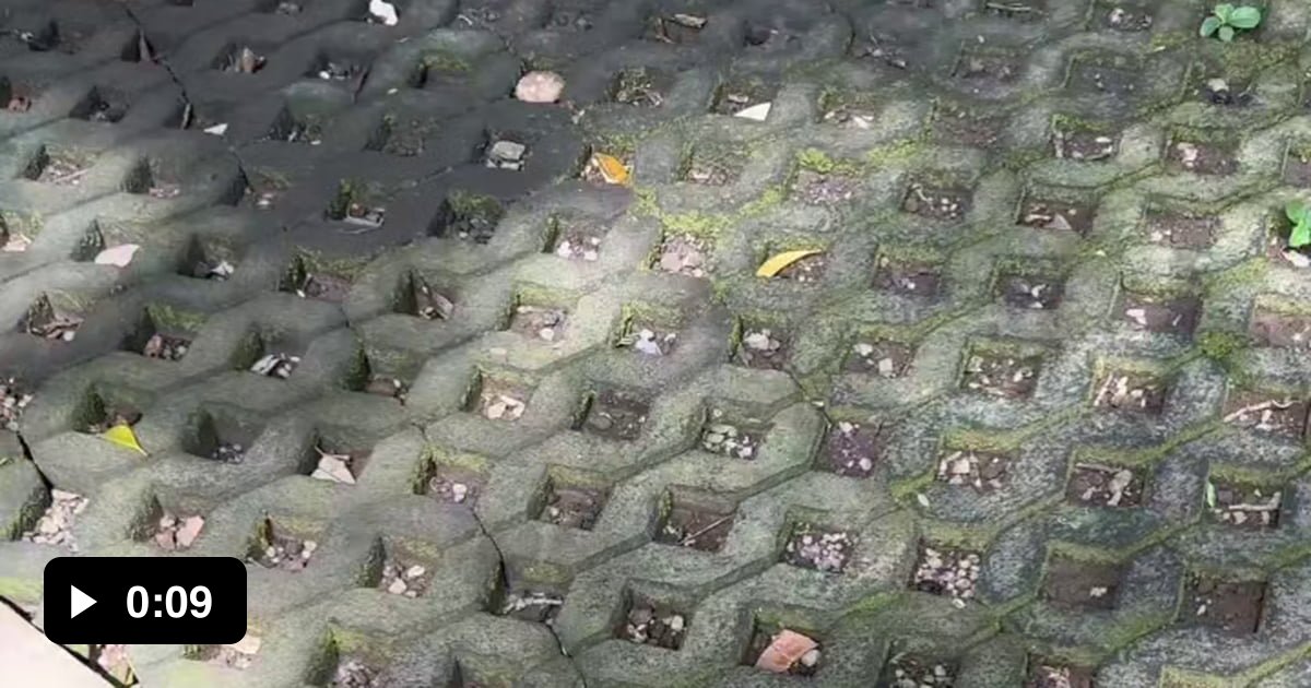 See you tomorrow - 9GAG