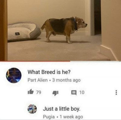 Little boi - 9GAG