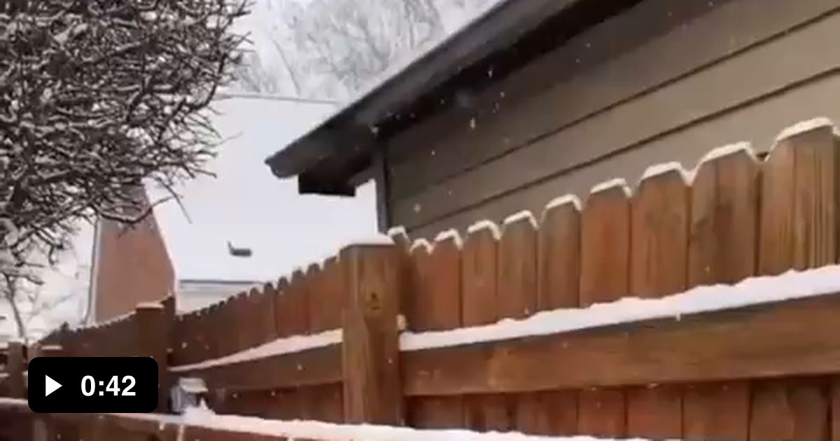 Neither snow nor rain nor heat nor gloom of night stays these couriers ...