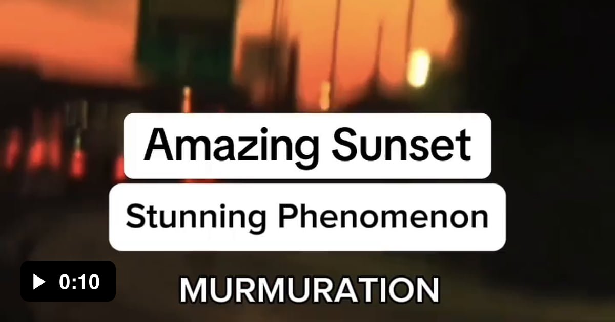 Stunning phenomenon MURMURATION in Italy - 9GAG