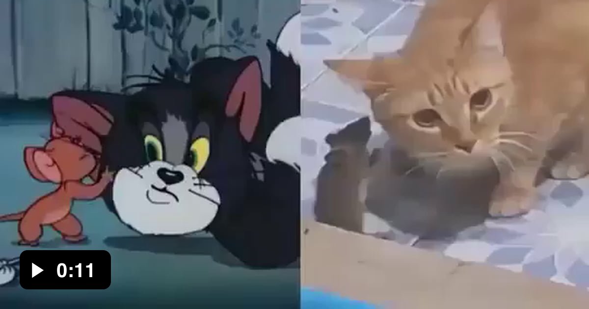 Tom and Jerry - 9GAG