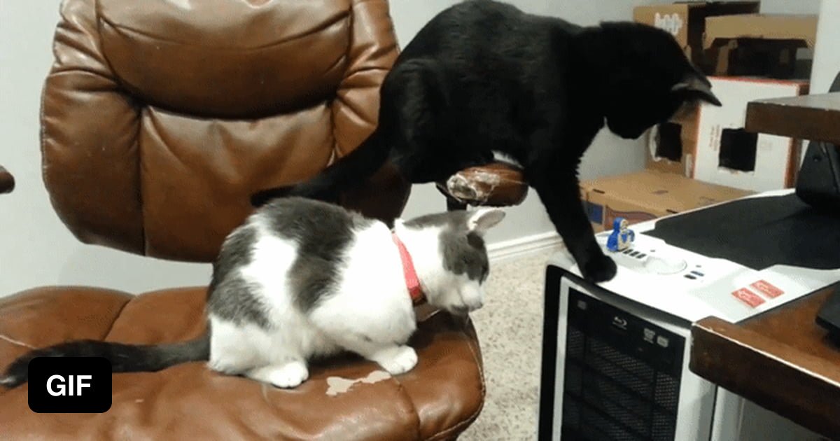 Les push da button! - 9GAG