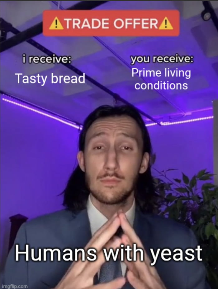 Feel free to send bread pics and recipes - 9GAG