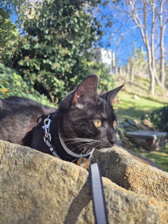 "Snirk", said the Snirk - 9GAG