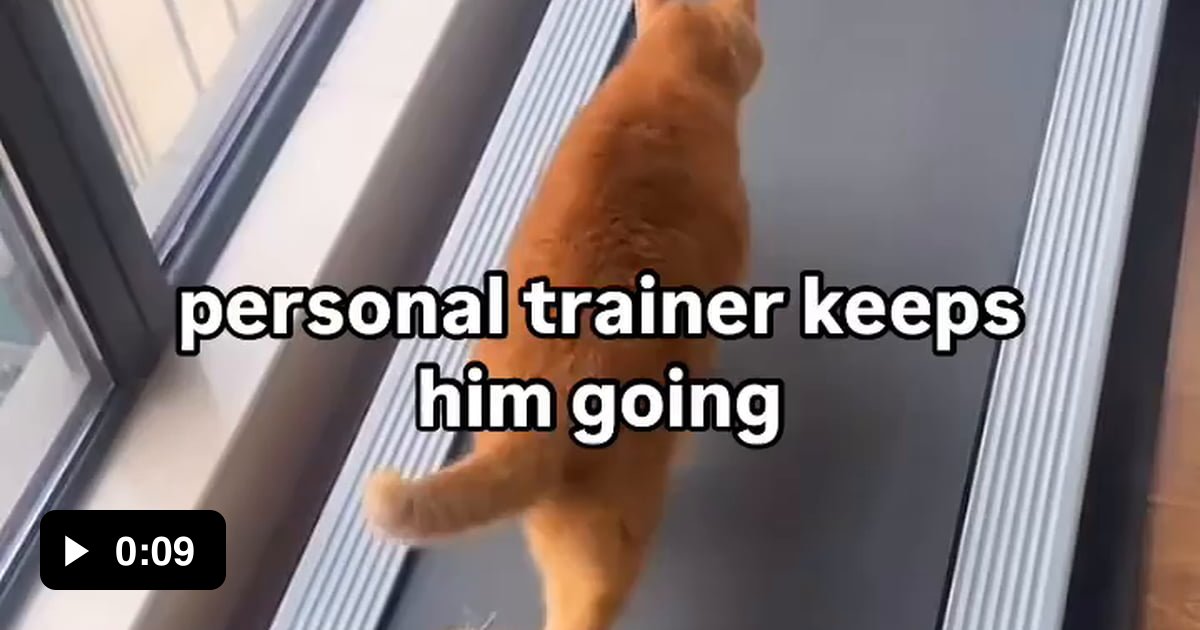 Purrsonal Trainer and spotter - 9GAG
