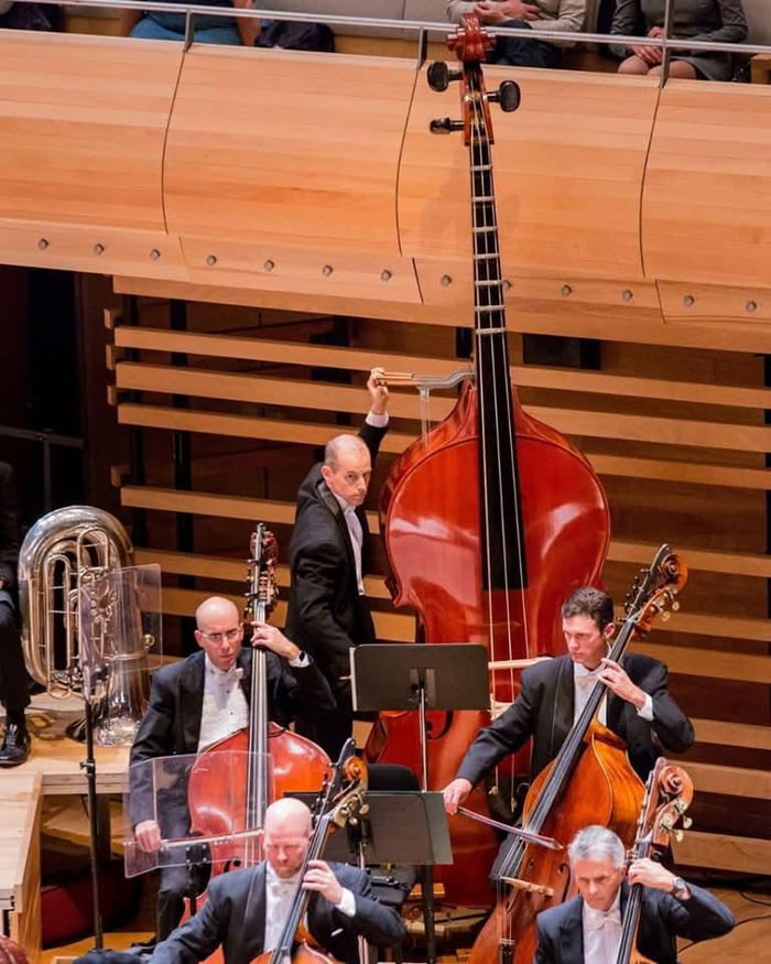 Of a stringed instrument. The 11 foot tall Octobass - 9GAG