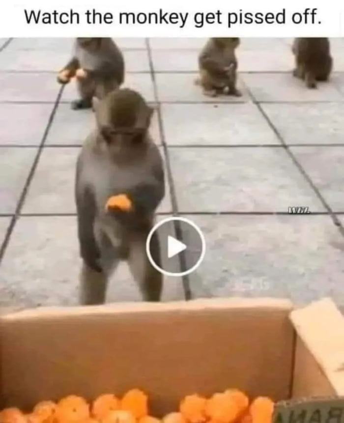Why you do dis? - 9GAG